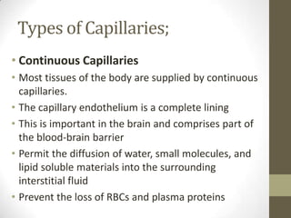 14.structure & functions of capillaries, venules and veins | PPTX
