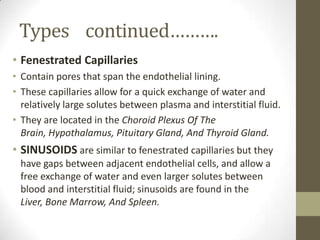 14.structure & functions of capillaries, venules and veins | PPTX