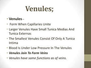 14.structure & functions of capillaries, venules and veins | PPTX