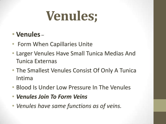 14.structure & functions of capillaries, venules and veins | PPTX