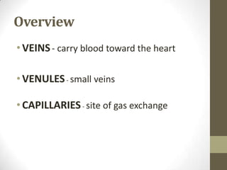 14.structure & functions of capillaries, venules and veins | PPTX
