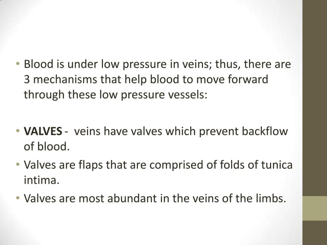 14.structure & functions of capillaries, venules and veins | PPTX