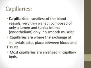 14.structure & functions of capillaries, venules and veins | PPTX