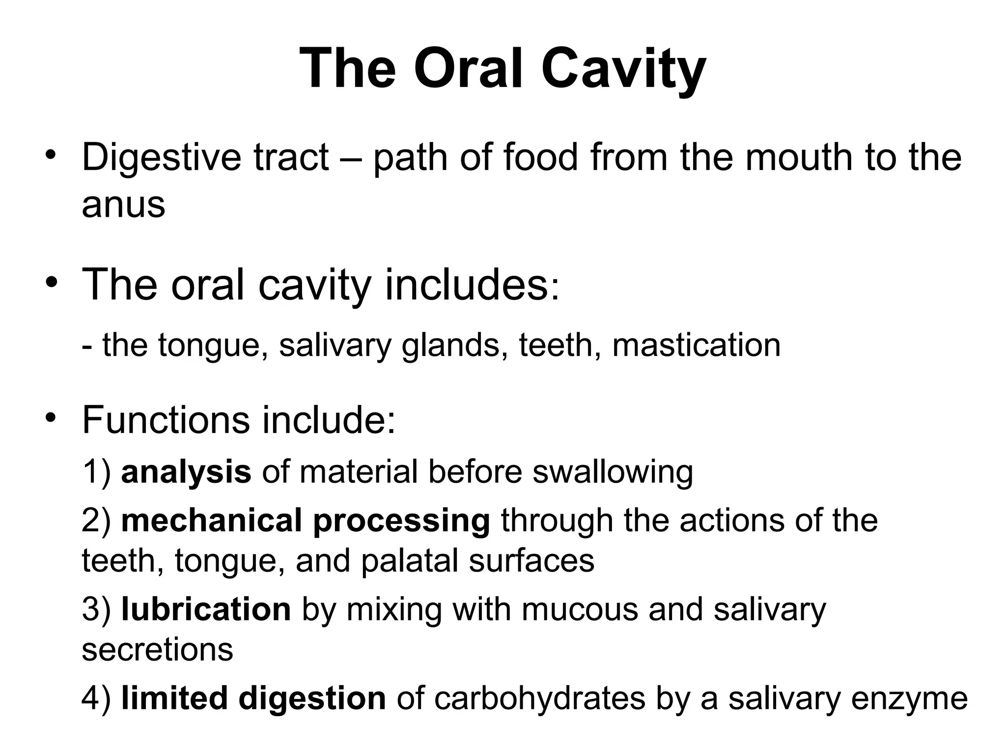 14. digestive system | PPT