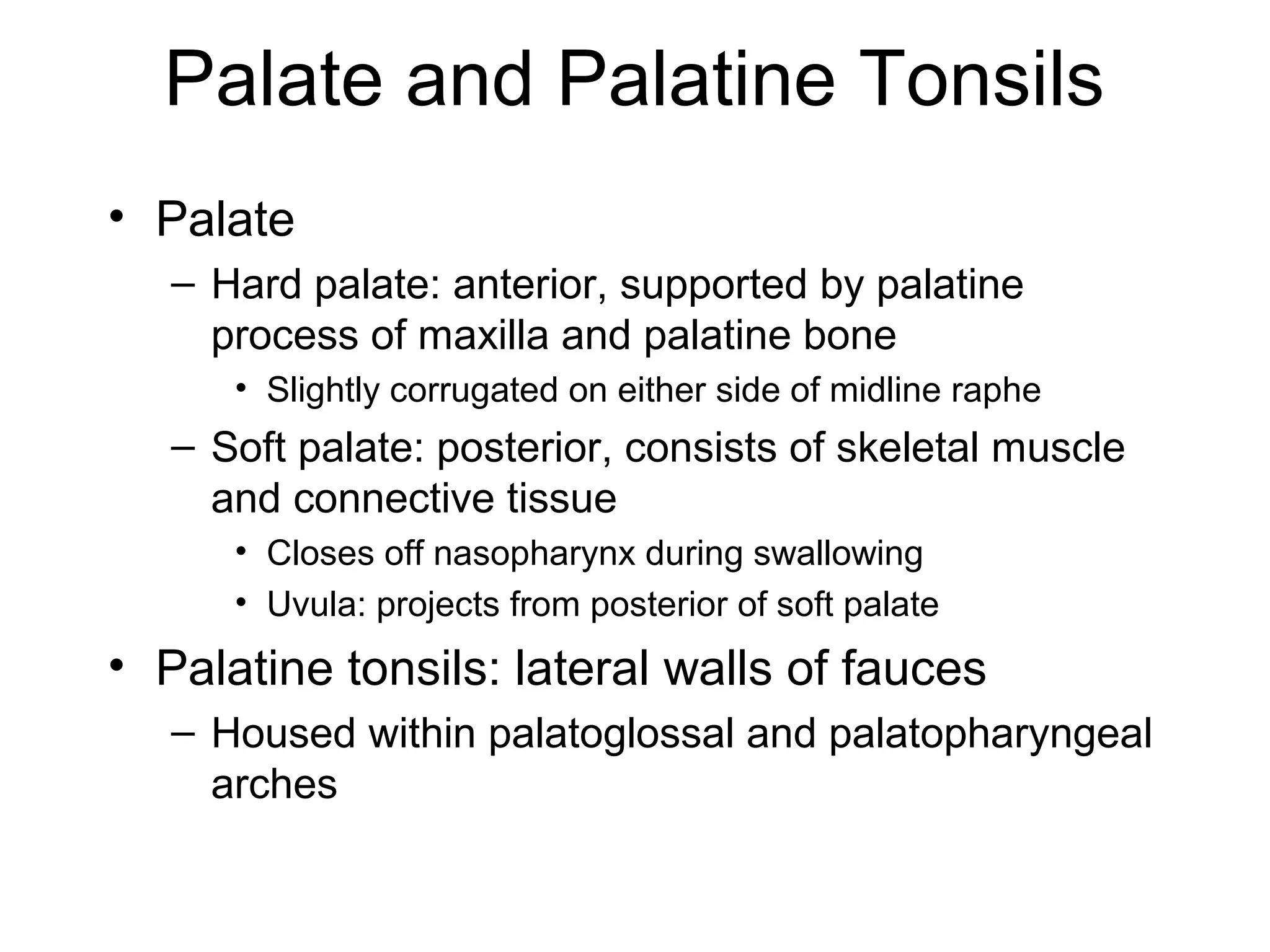 14. digestive system | PPT