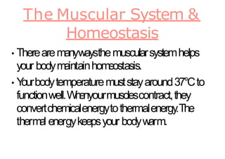 14-140408043036-phpapp02.pptx