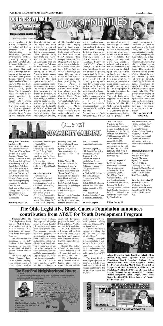 14.8.13 call and post olbc foundation contribution | PDF