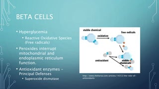 Beta Cells Apoptosis and Oxidative Stress -Camille L. Ruiz | PPT