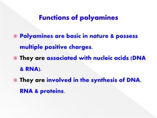 POLYAMINES | PPTX