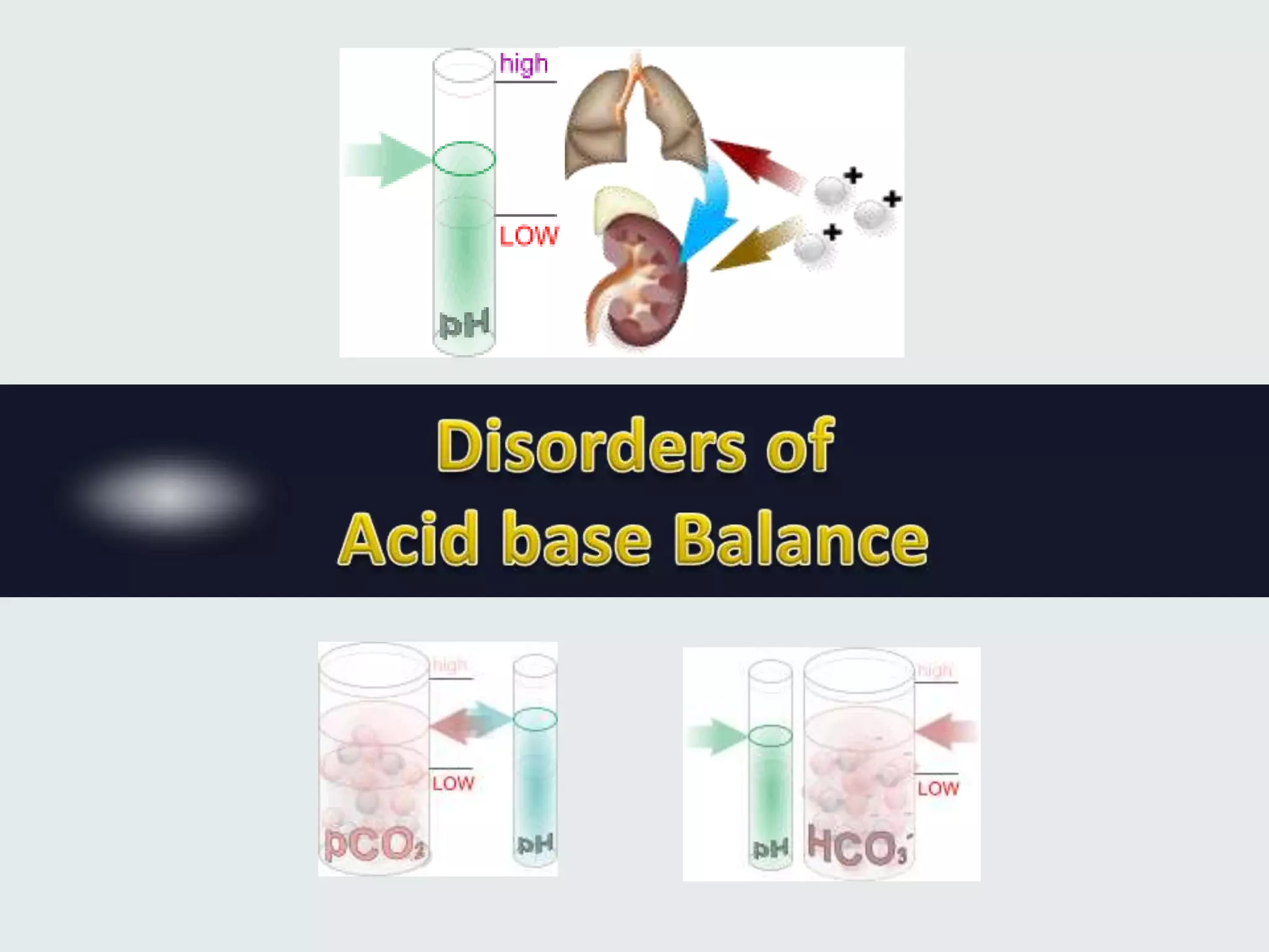 Acid Base Balance | PPSX