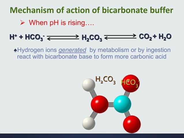 Acid Base Balance | PPSX | Chemistry | Science