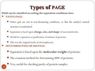 Gel electrophoresis | PPT
