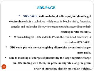 Gel electrophoresis | PPT