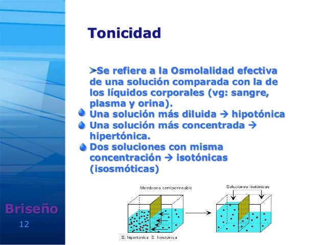 14.fuerzas que ejerce el movimiento de los solutos