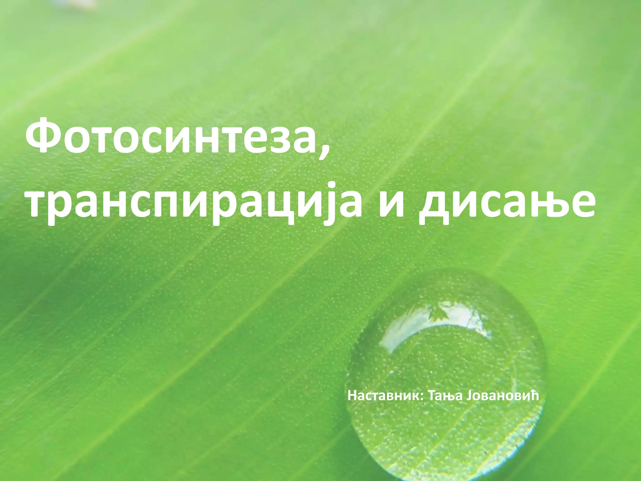 Fotosinteza, disanje i transpiracija | PPTX