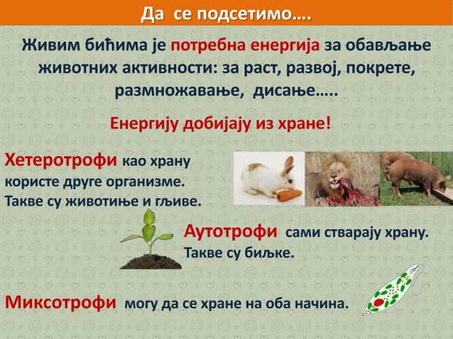 Fotosinteza, disanje i transpiracija | PPTX