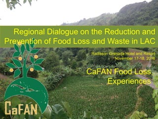 CaFAN Food Loss Experiences | PPT