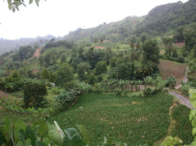 CaFAN Food Loss Experiences | PPT