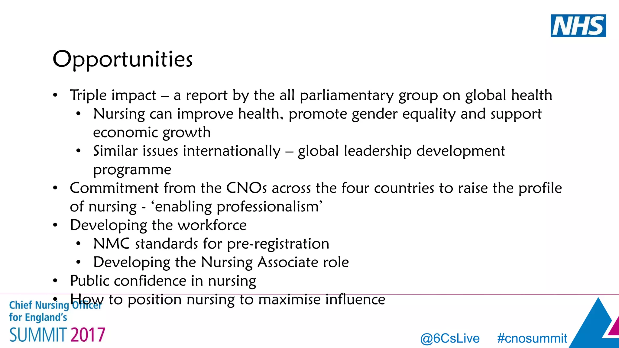 Emerging Nursing Excellence Framework | PPT