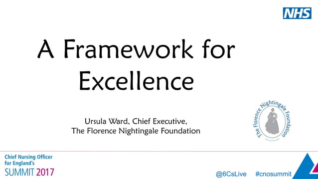 Emerging Nursing Excellence Framework | PPT