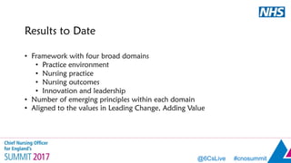 Emerging Nursing Excellence Framework | PPT