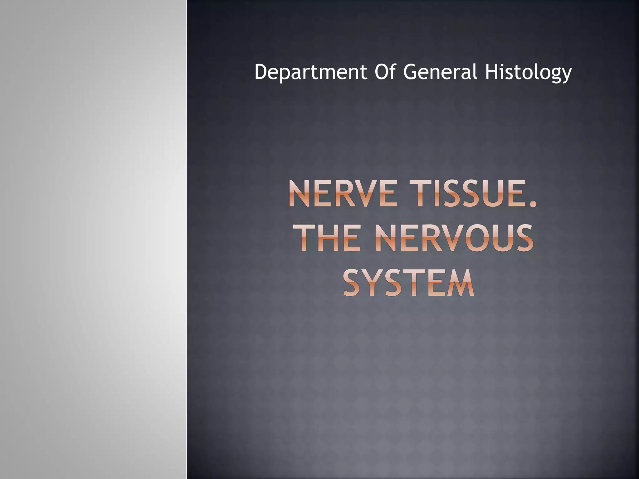 Nerve tissue . The Nervous System | PPT
