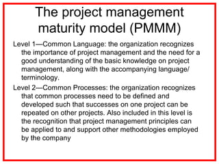 14. Developing Custom Processes For IT Projects | PPT