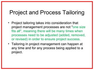 14. Developing Custom Processes For IT Projects | PPT