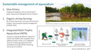 Managing mangroves and sustainable aquaculture | PDF | Agriculture ...