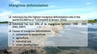 Managing mangroves and sustainable aquaculture | PDF