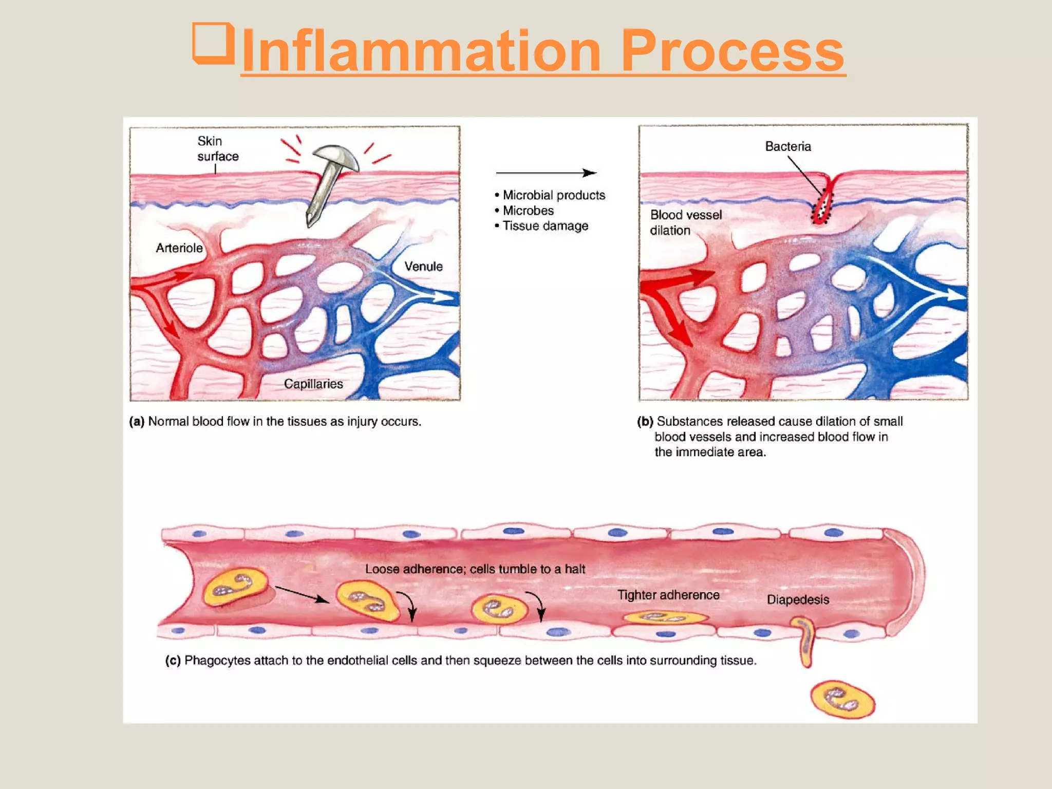 Immunology and Microbiology,Host-Microbe Interactions | PPT