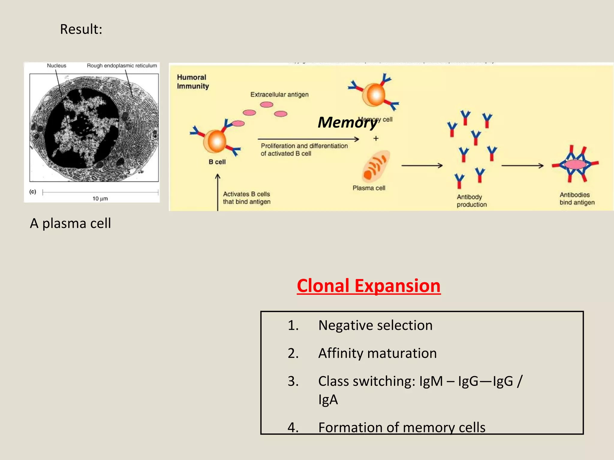Immunology and Microbiology,Host-Microbe Interactions | PPT