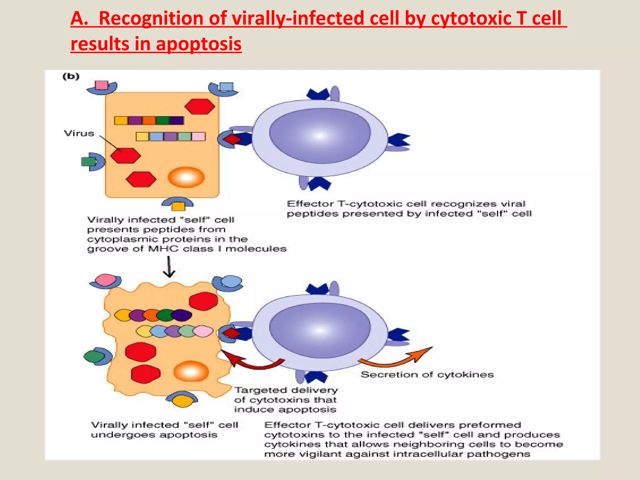 Immunology and Microbiology,Host-Microbe Interactions | PPT