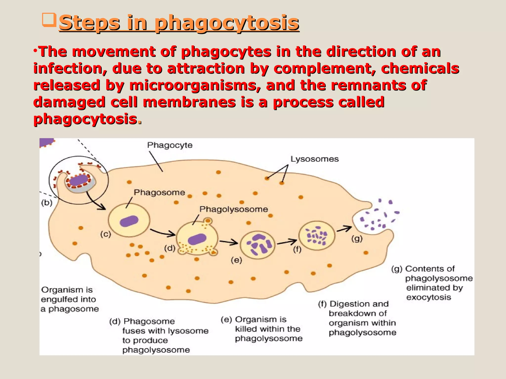 Immunology and Microbiology,Host-Microbe Interactions | PPT