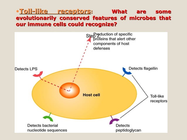 Immunology and Microbiology,Host-Microbe Interactions | PPT