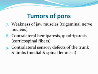Clinical aspects of the brainstem | PPTX