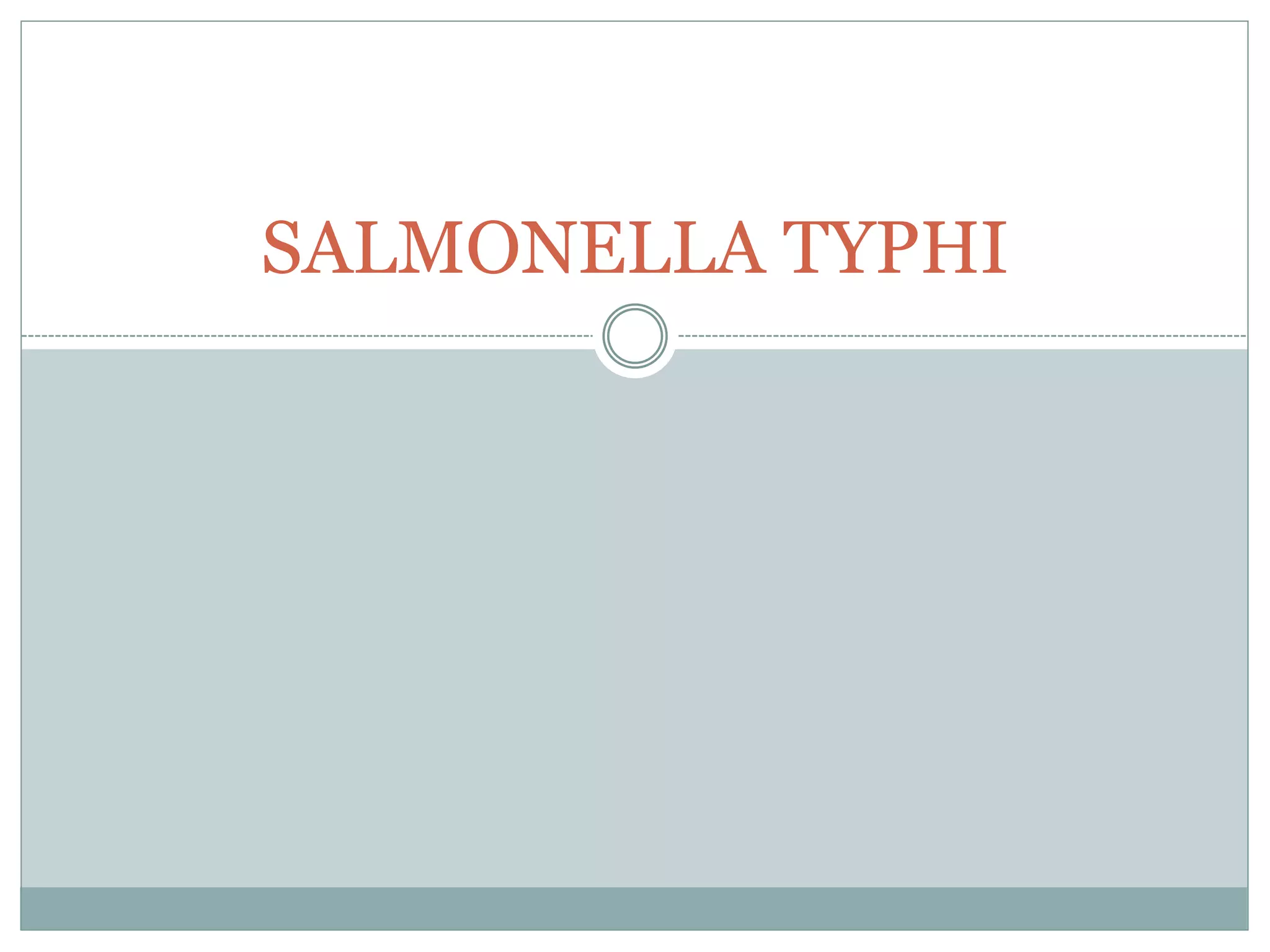 14. salmonella typhi | PPTX