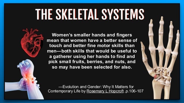 Complete anatomy gender change - whizrety