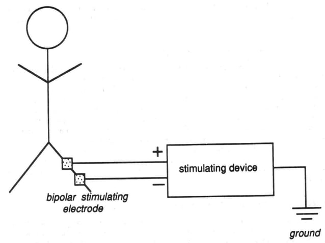 motor point | PPTX | Physics | Science