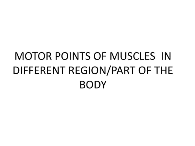 motor point | PPTX | Physics | Science