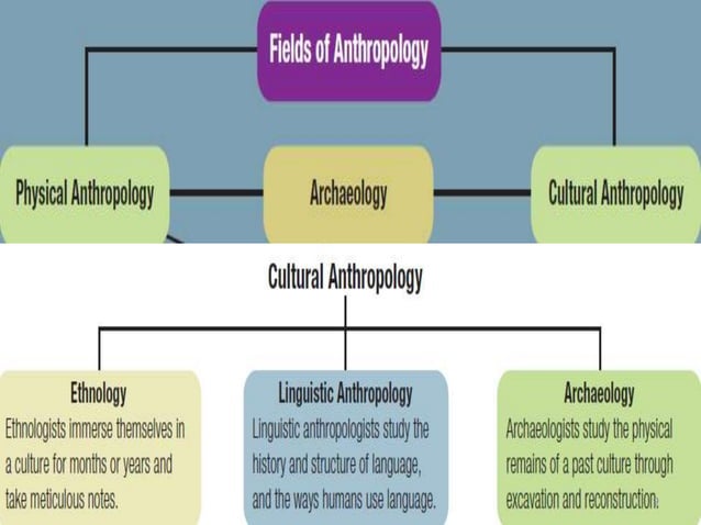 Anthropology | PPTX
