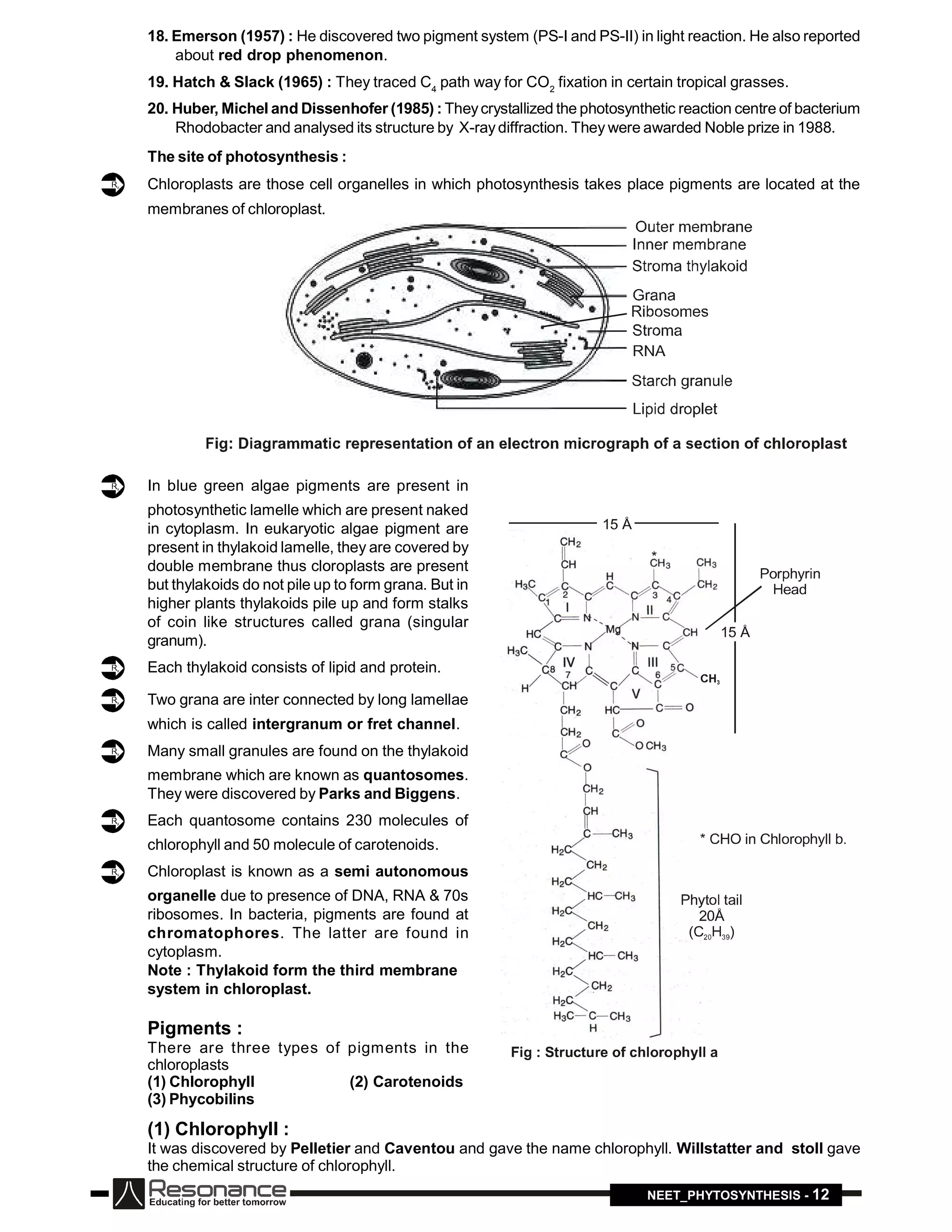 photosynthesis | PDF