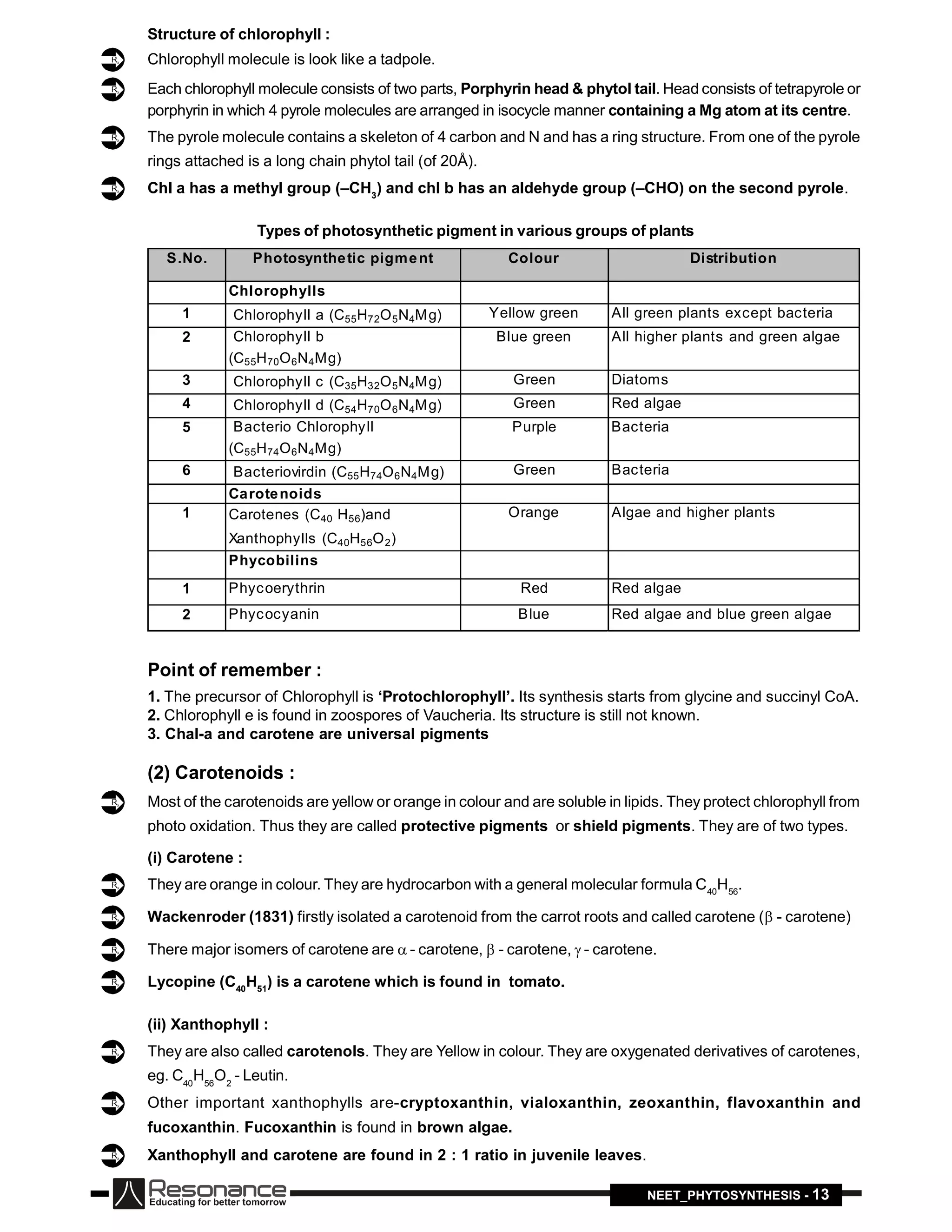 photosynthesis | PDF