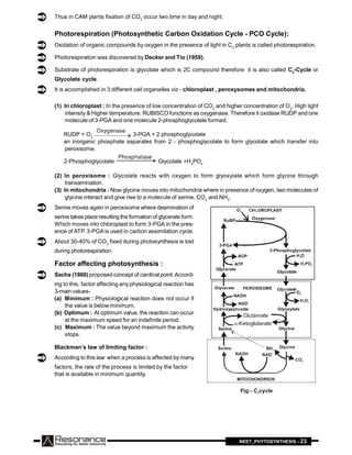 photosynthesis | PDF