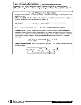 photosynthesis | PDF