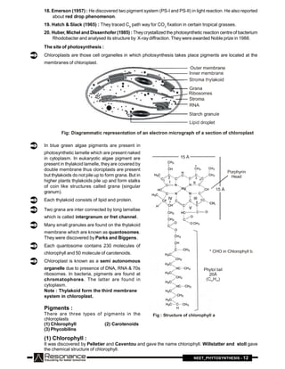 photosynthesis | PDF