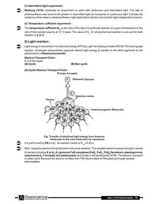 photosynthesis | PDF
