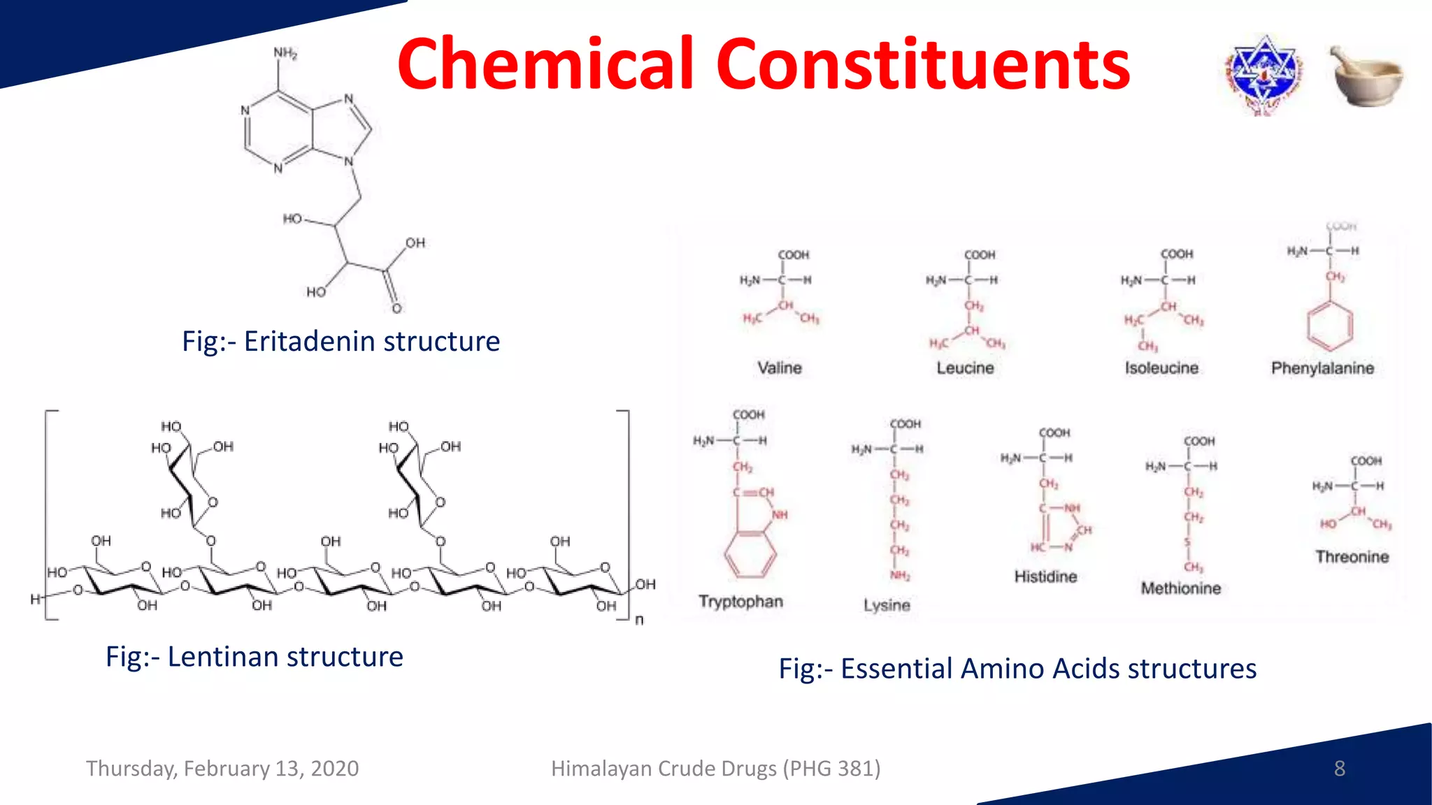 Lentinus edodus (Shiitake) | PPTX