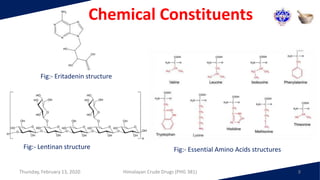 Lentinus edodus (Shiitake) | PPTX