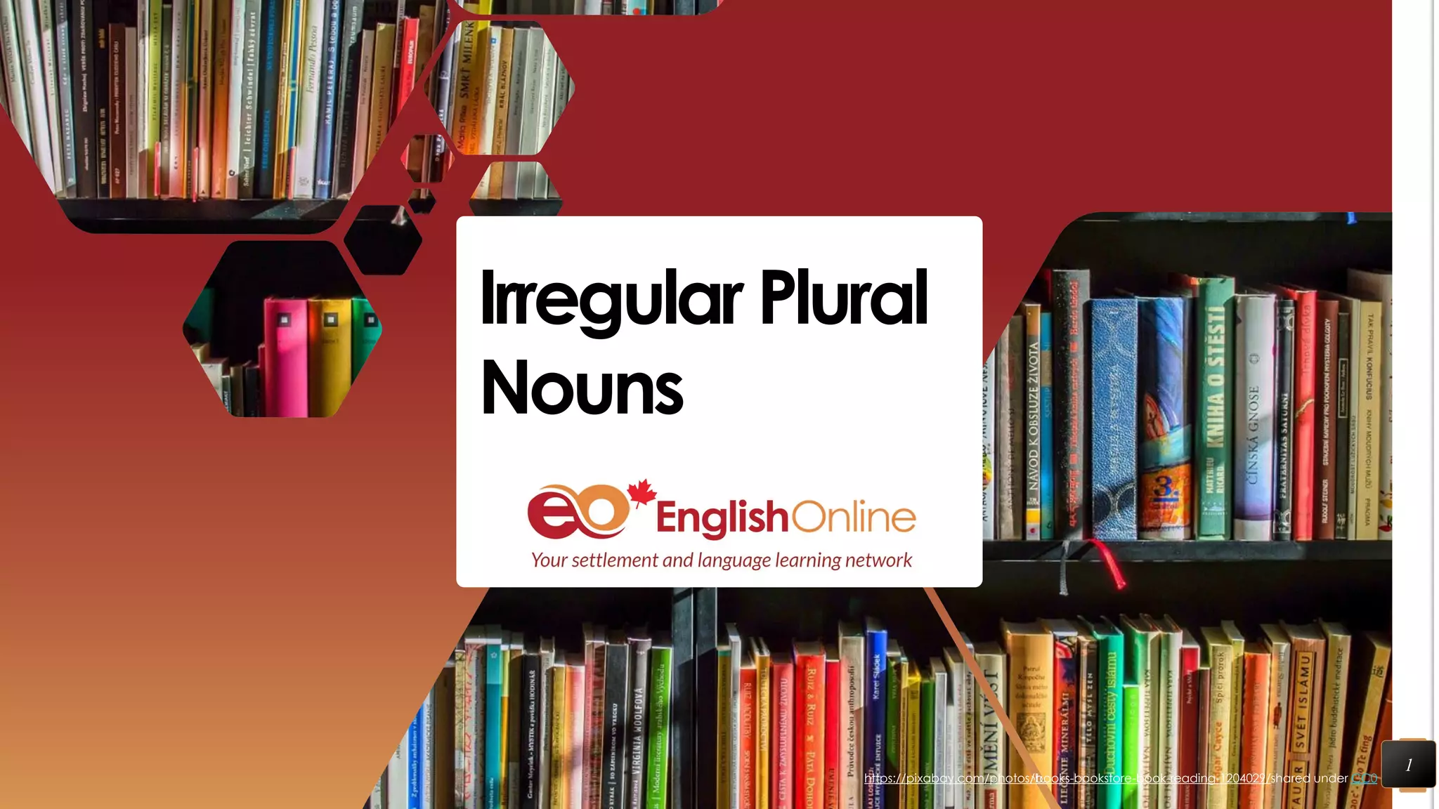 irregular plural nouns | PDF
